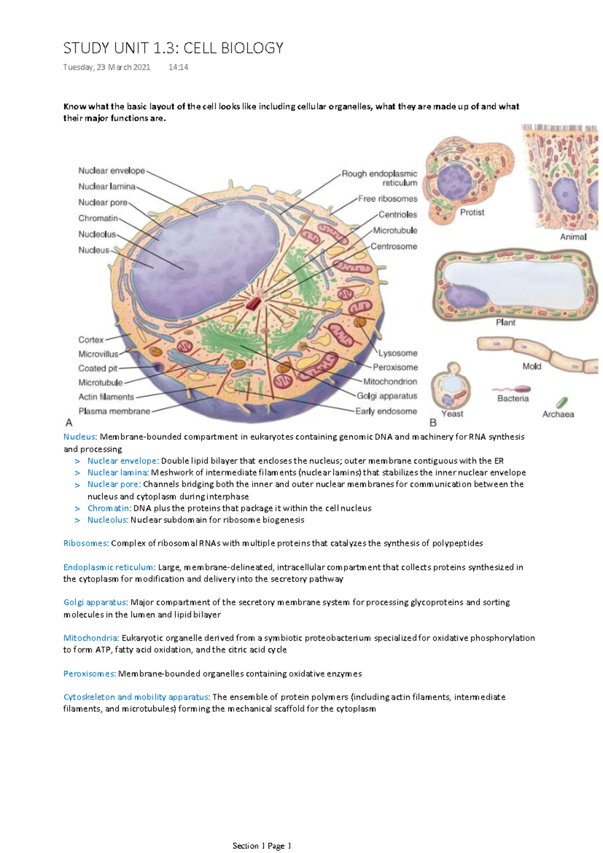 Cell Biology Overview: Study UNIT 1.3 FLG 211 Chapter Summaries - Studocu