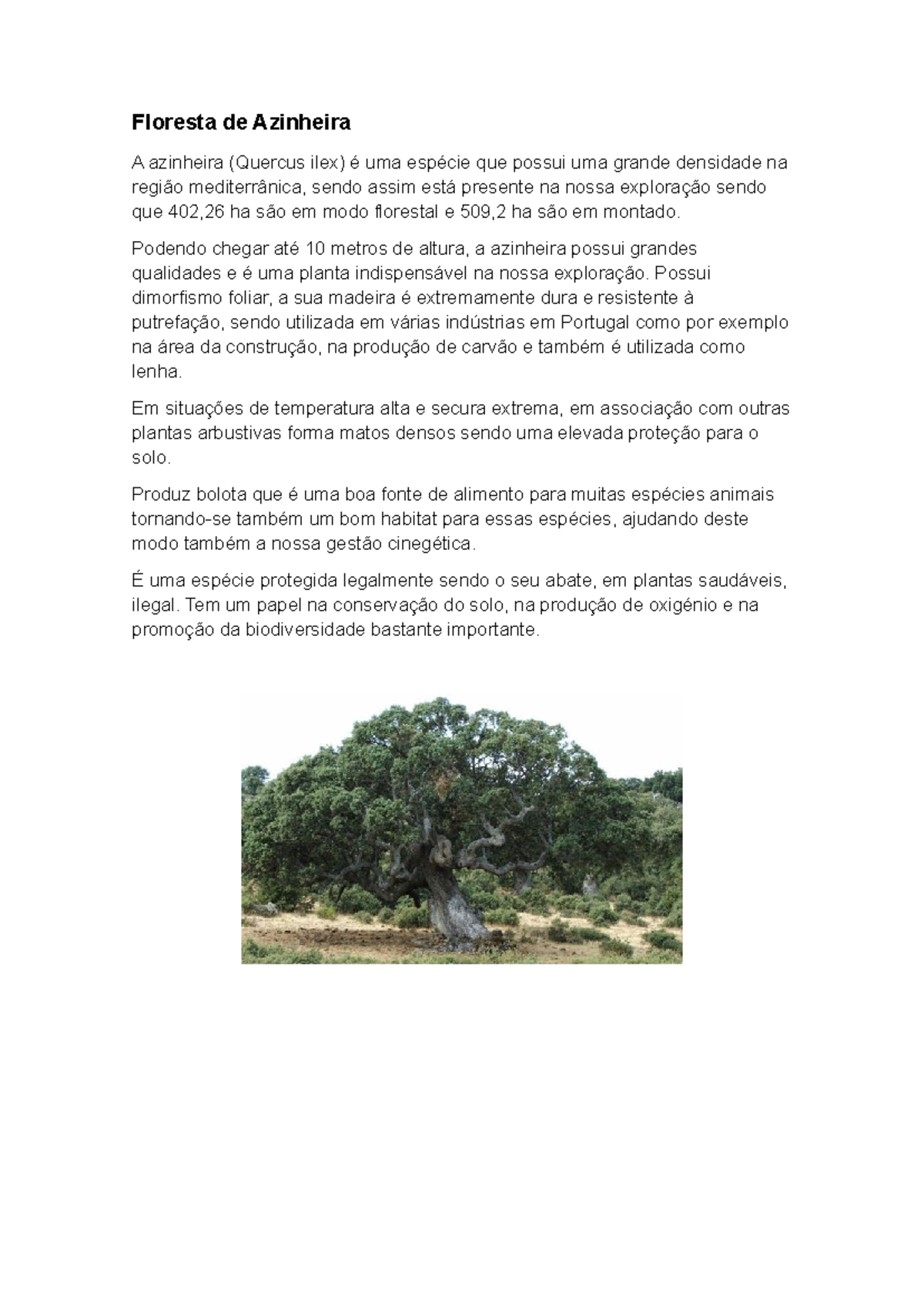 Florestas de Azinheira e Sobreiro: Importância e Conservação - Studocu