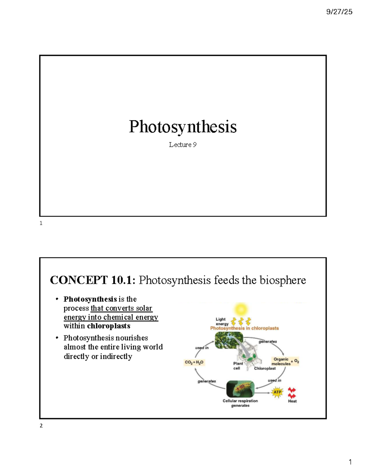 Photosynthesis Lecture Notes (BIO101): Understanding the Process - Studocu