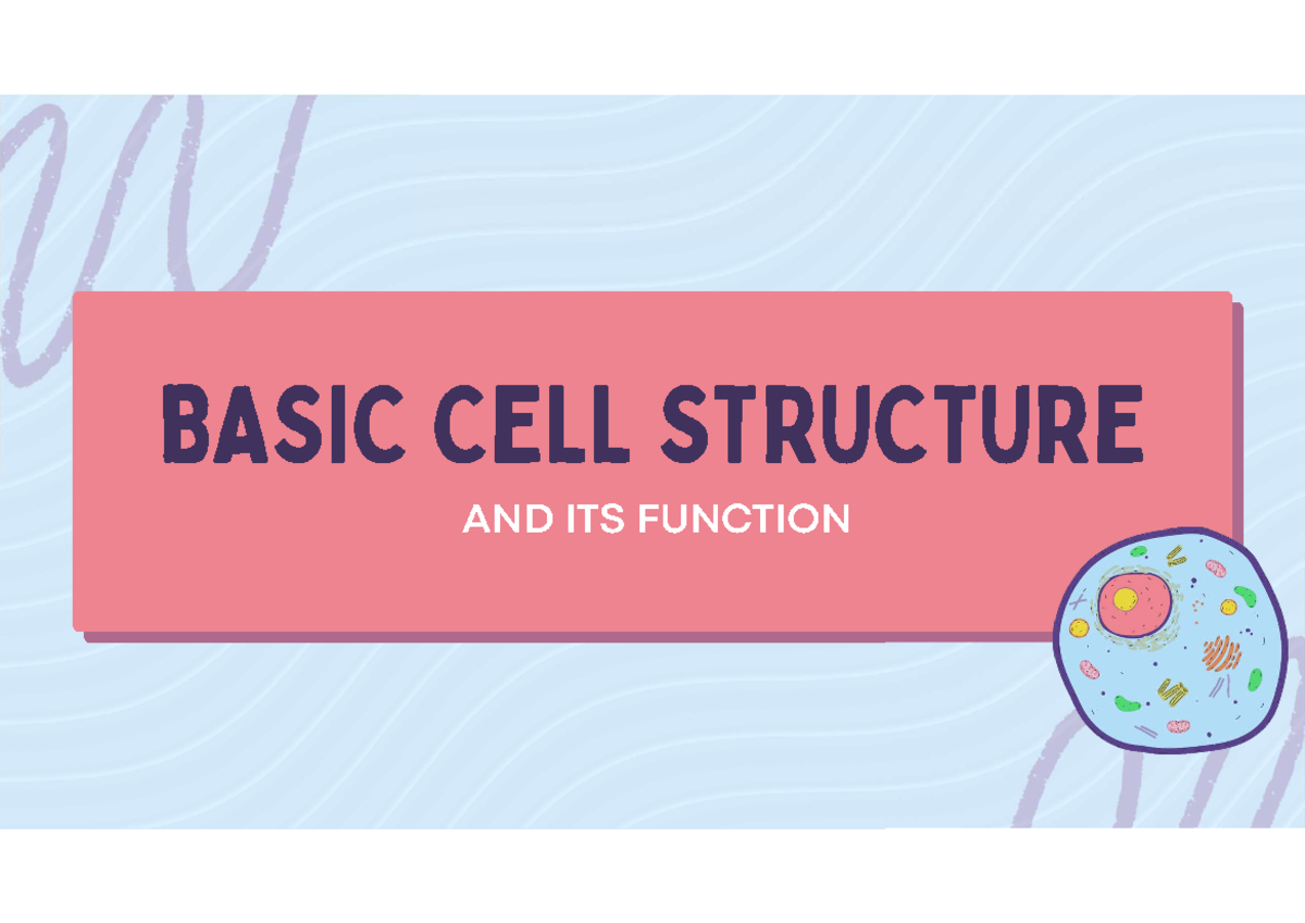 BASIC CELL STRUCTURE AND FUNCTIONS: ANIMAL & PLANT CELLS - Studocu