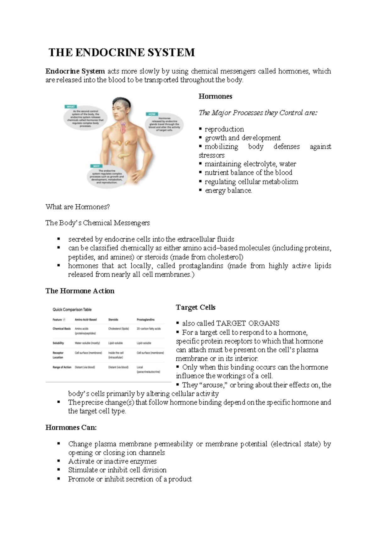 CASNSE 5 - Final Exam Notes on the Endocrine System - Studocu