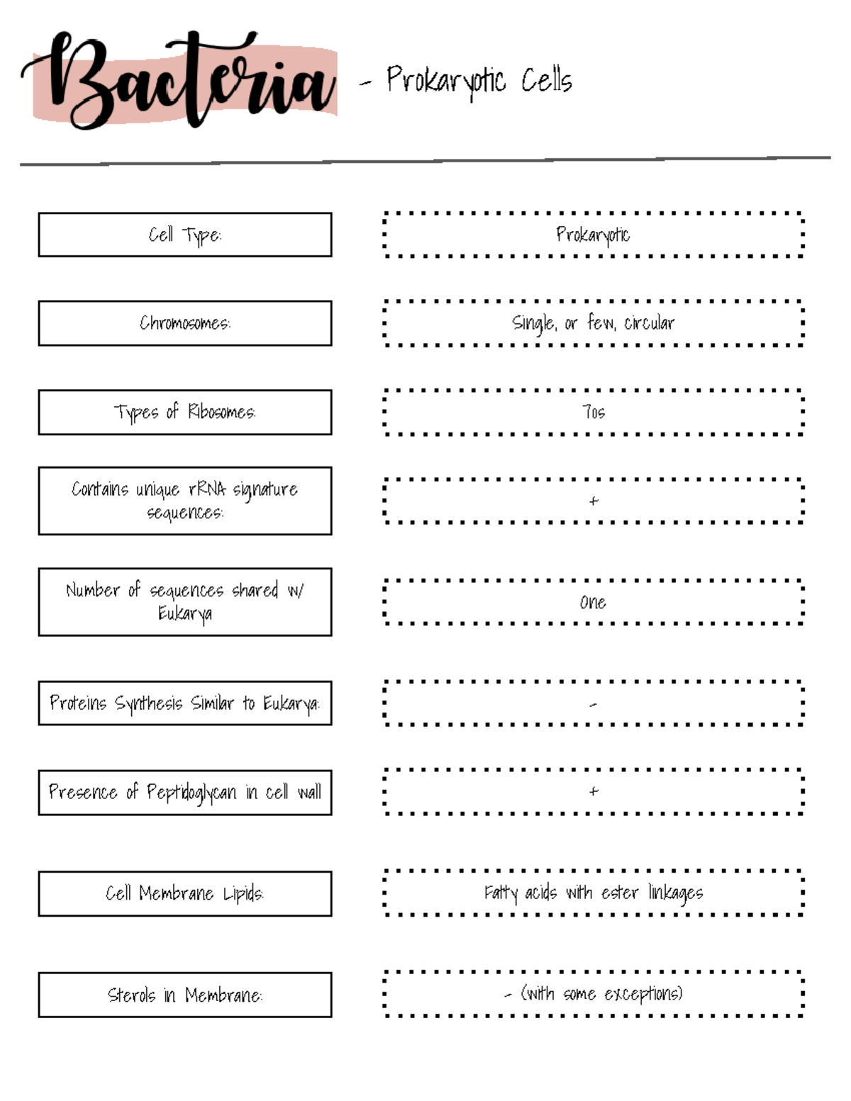 BIOL 257 - Types of Cells and Their Properties - Prokaryotic Cells Cell ...