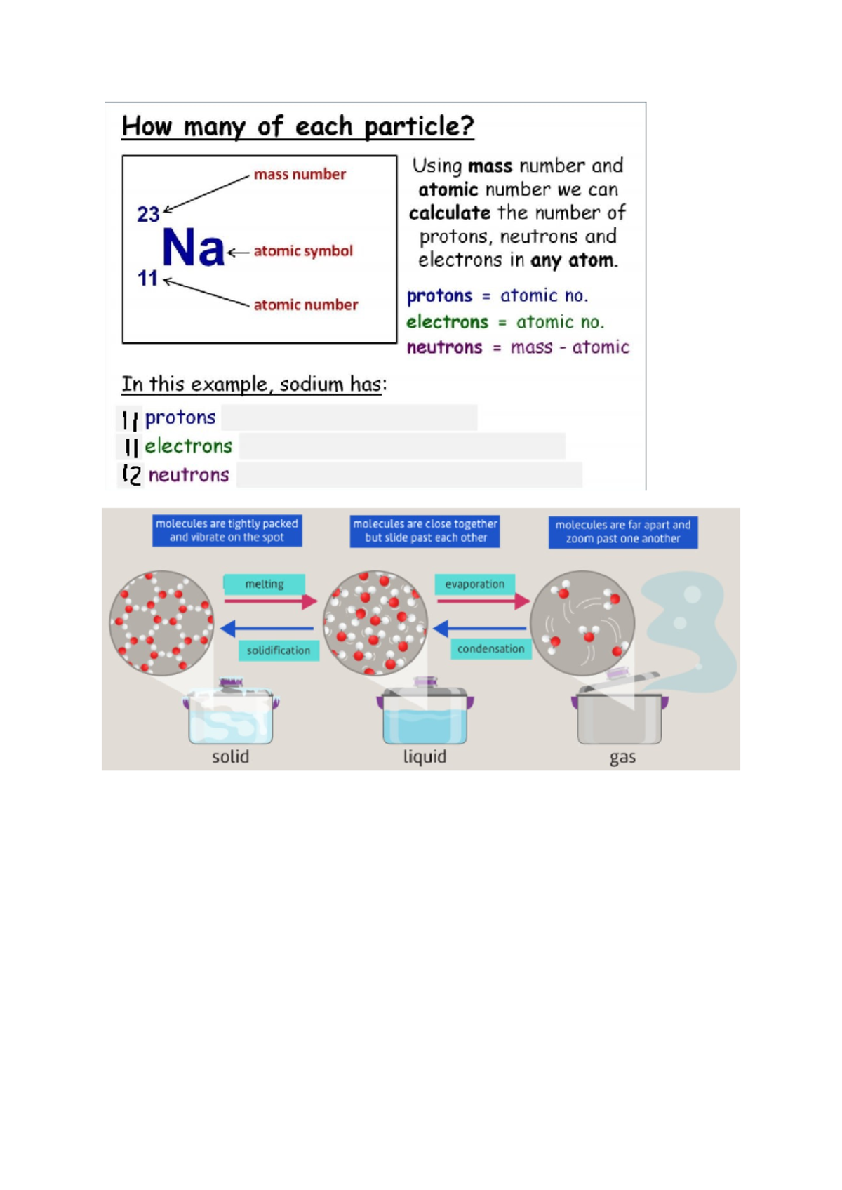 Science notes Yr 8 - mouth, oesophagus, stomach, small intestine, large ...