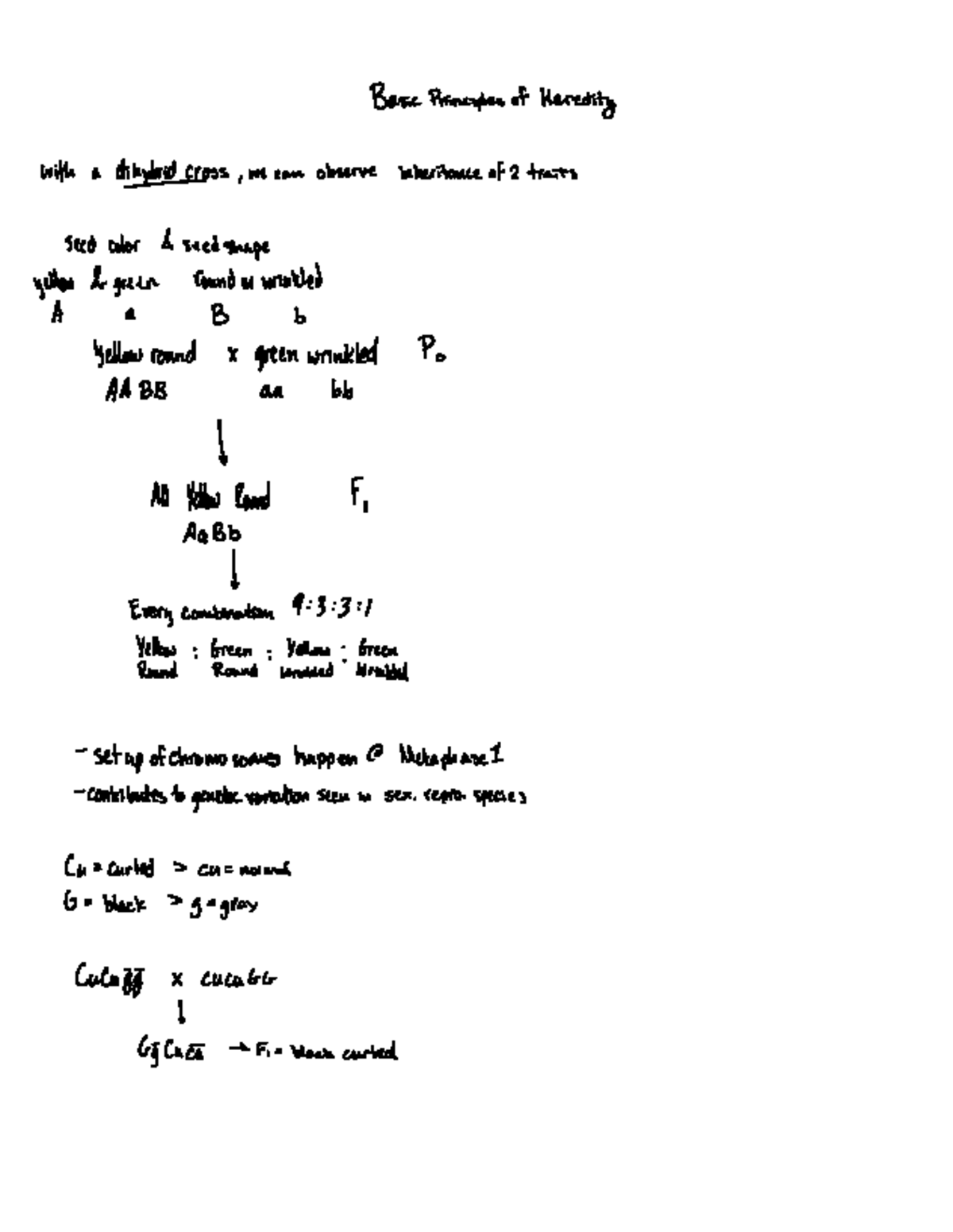 Basic Principles of Heredity: Genetics and Probability Analysis - Studocu