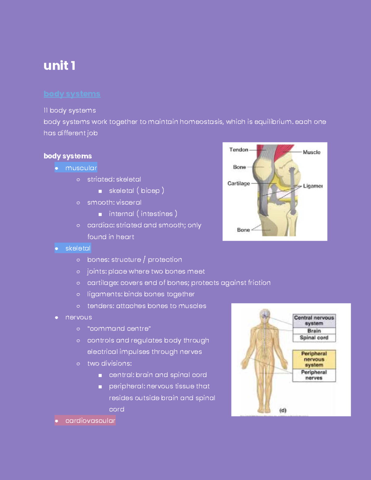 Health Notes: Unit 1 Body Systems Overview and Functions - Studocu
