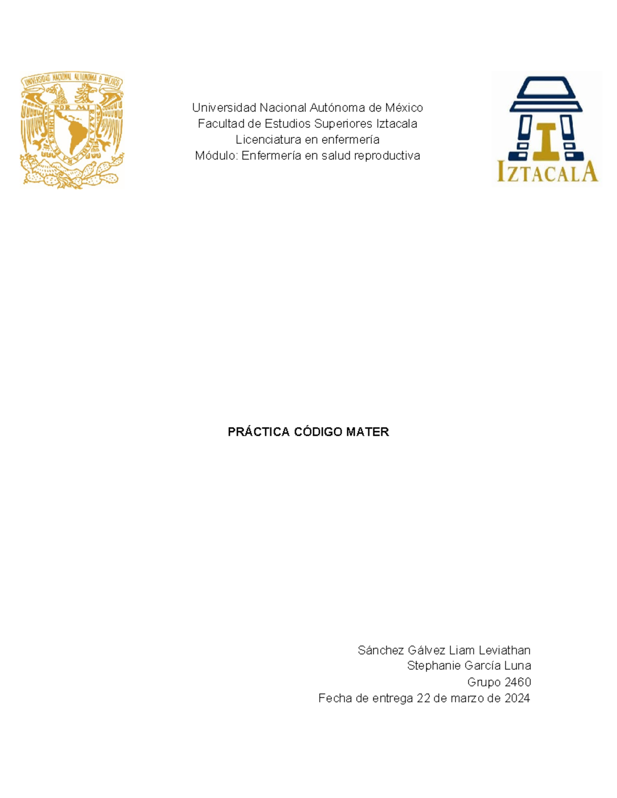 Práctica de Triage Obstétrico y Código Mater - ENF 2460 - Studocu