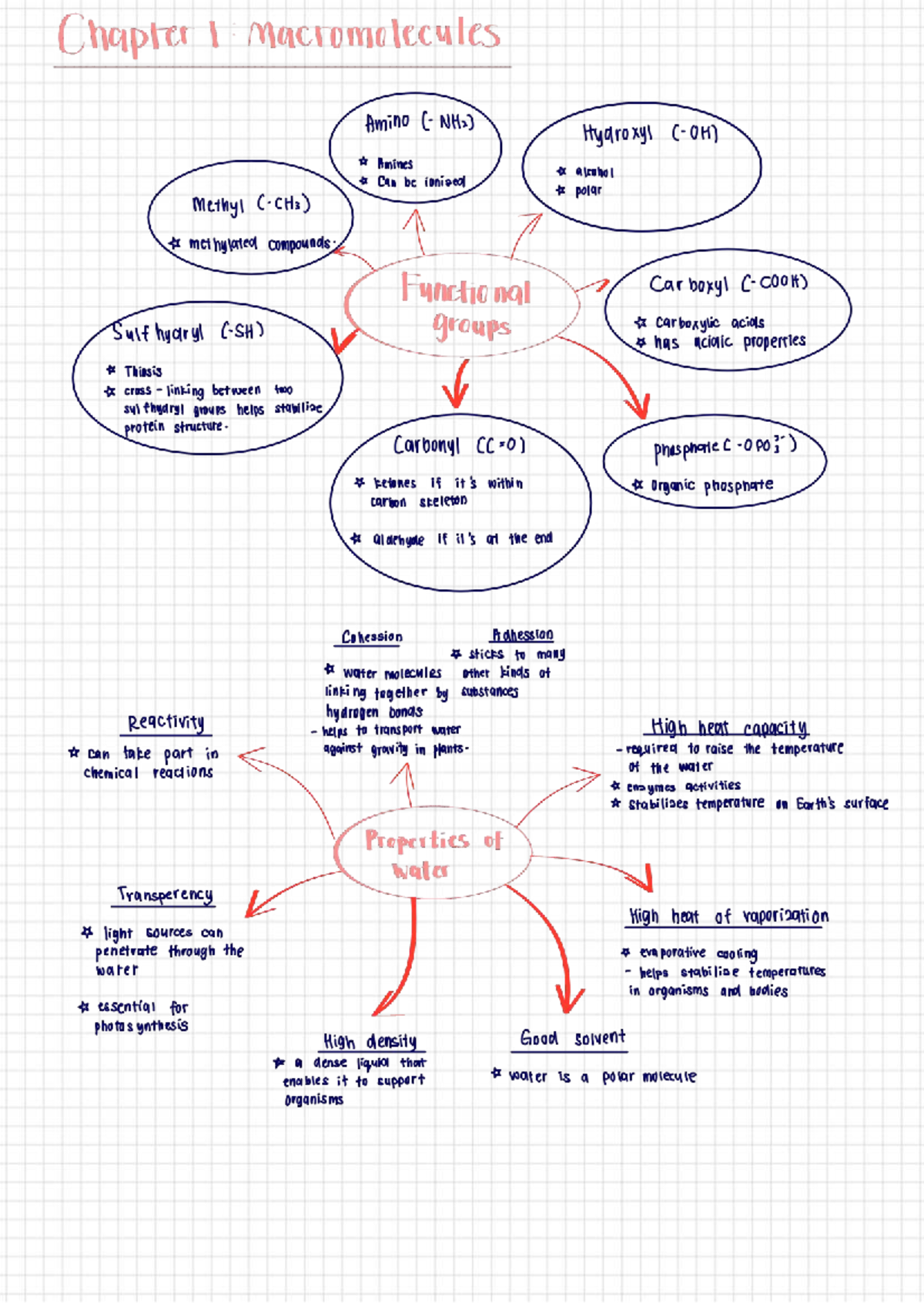 Chapter 1 - Macromolecules and Their Properties in Biology - Studocu