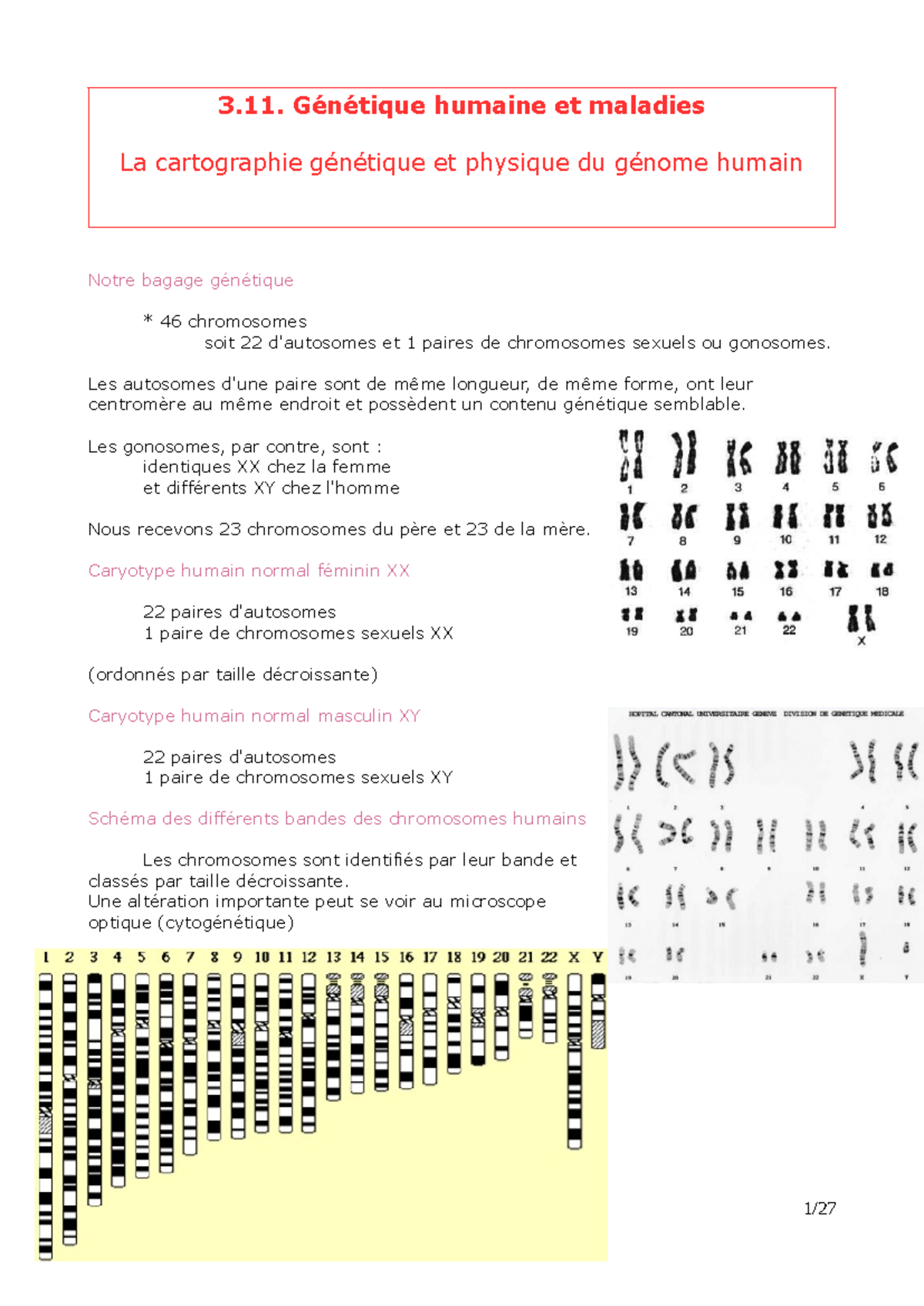 Cours Génétique Humaine - Cartographie Génétique et Maladies ...