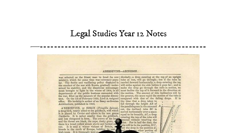 Legal Studies Year 12 Notes: Human Rights Development and Impact - Studocu