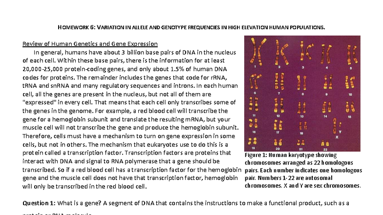 BISC160 HW 6: Variation in Allele Frequencies in High Elevation Humans ...