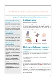 Quiz: Communication et Signalisation cellulaire nerveuse ...