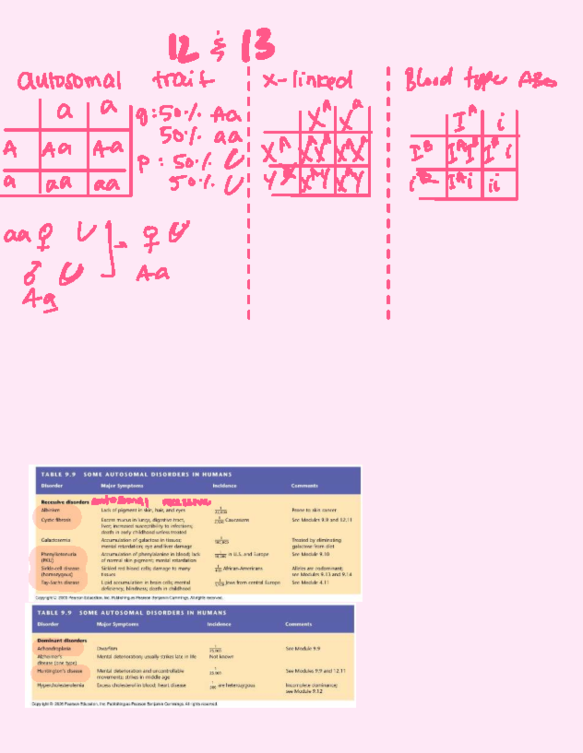 Understanding Punnett Squares: Autosomal vs X-Linked Traits in Genetics ...