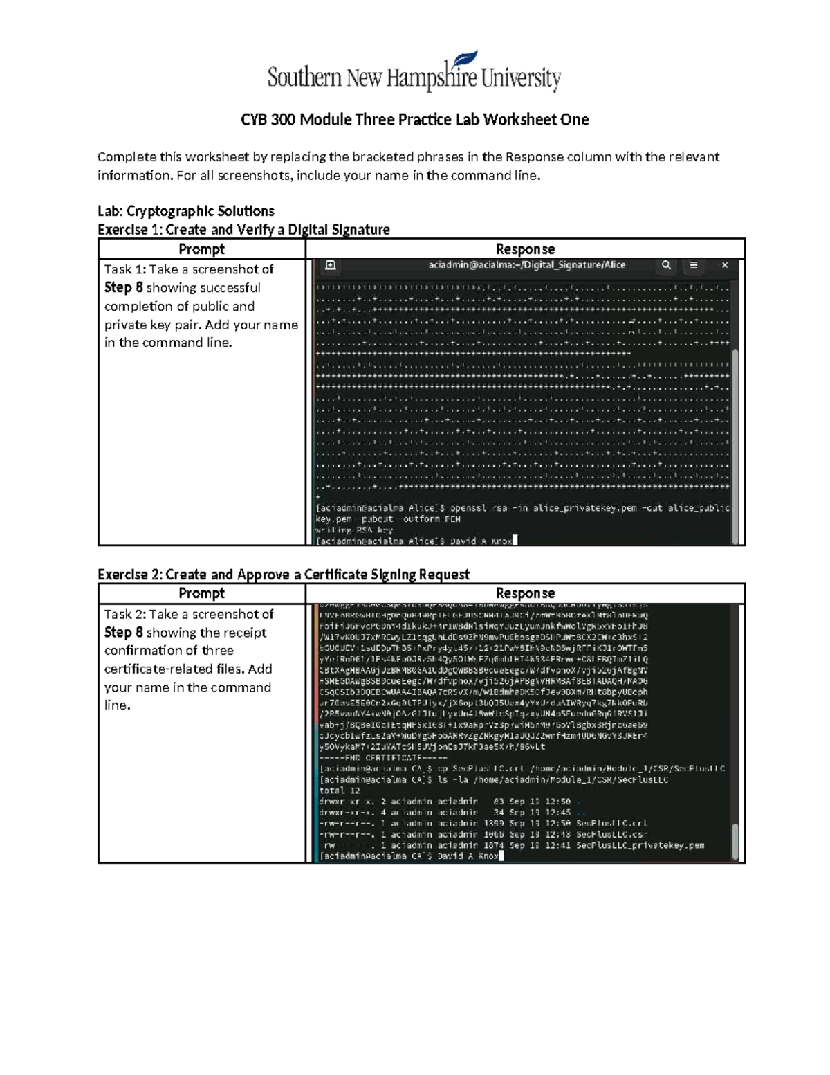 CYB 300 Module Three Cryptographic Solutions Lab Worksheet - Studocu