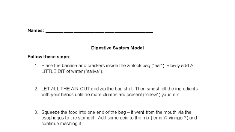 Digestive System Model Activity Guide for Biology 101 - Studocu