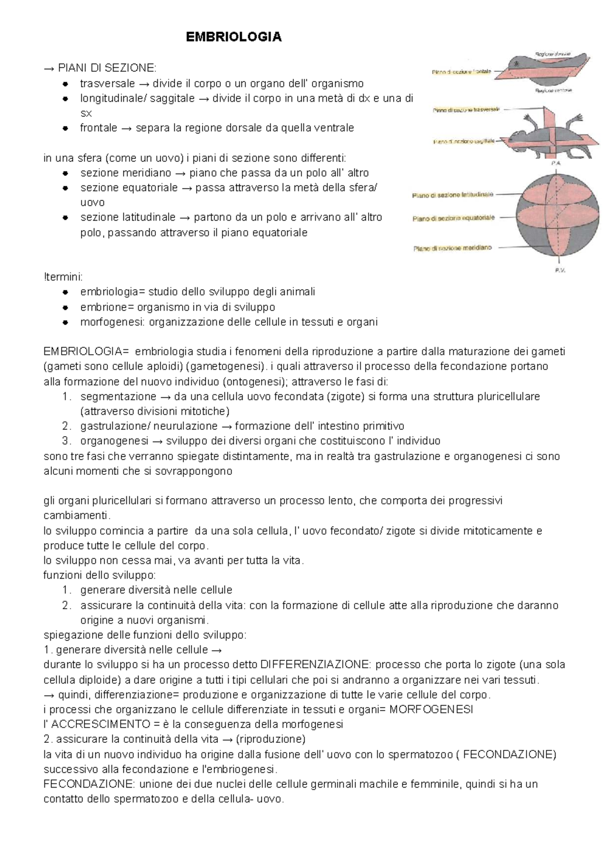 EMB 101: Appunti di Embriologia - Piani di Sezione e Sviluppo ...