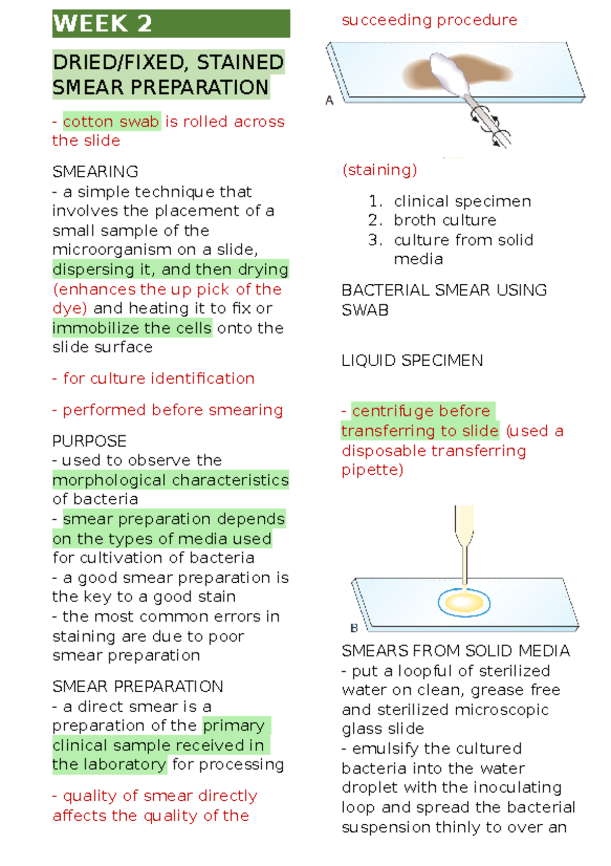BACTERIOLOGY LABORATORY WEEK 2 TRANSES - WEEK 2 DRIED/FIXED, STAINED ...