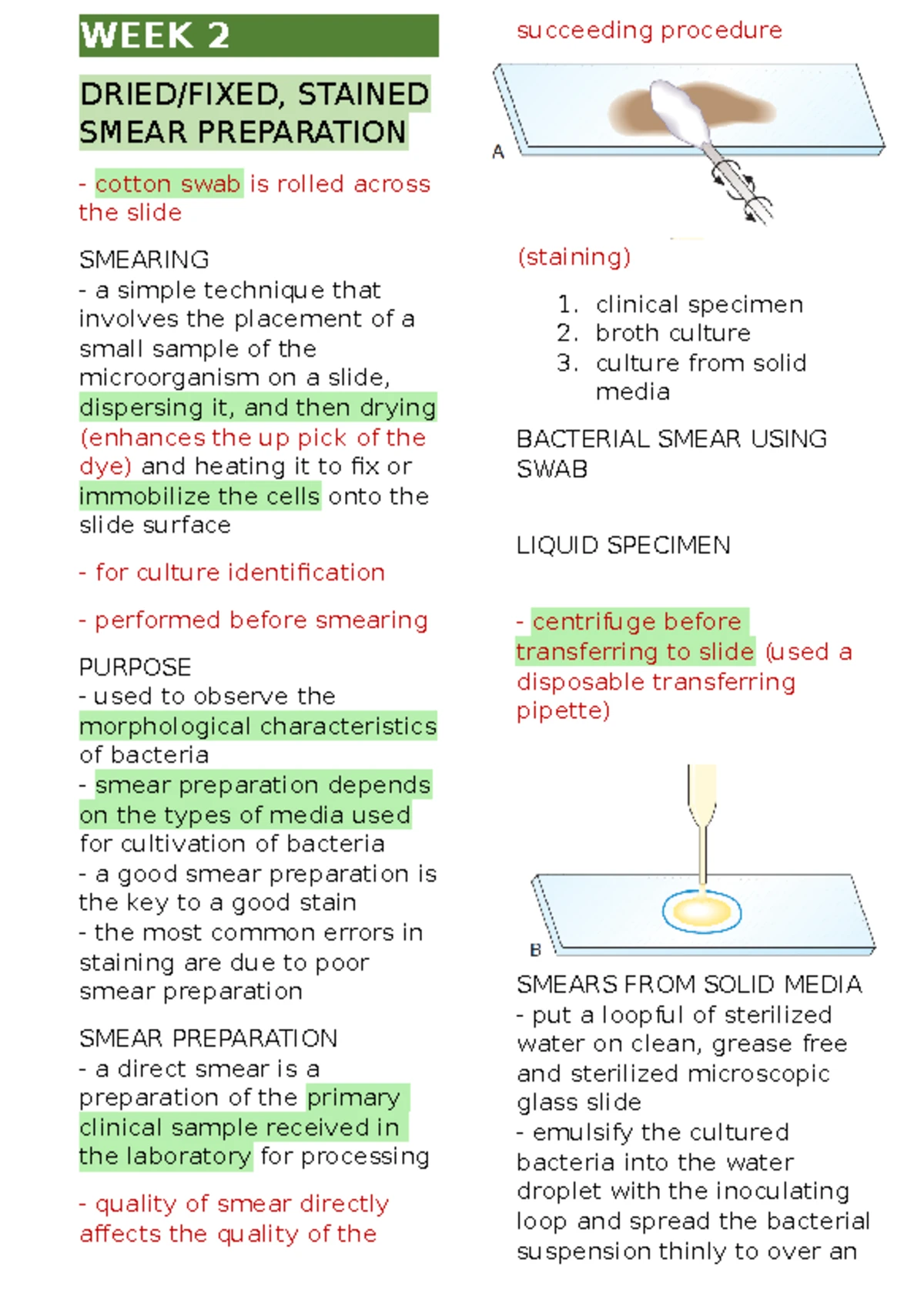 STAPHYLOCOCCUS MICROCOCCUS: Catalase Test & Gram Staining Rules - Studocu