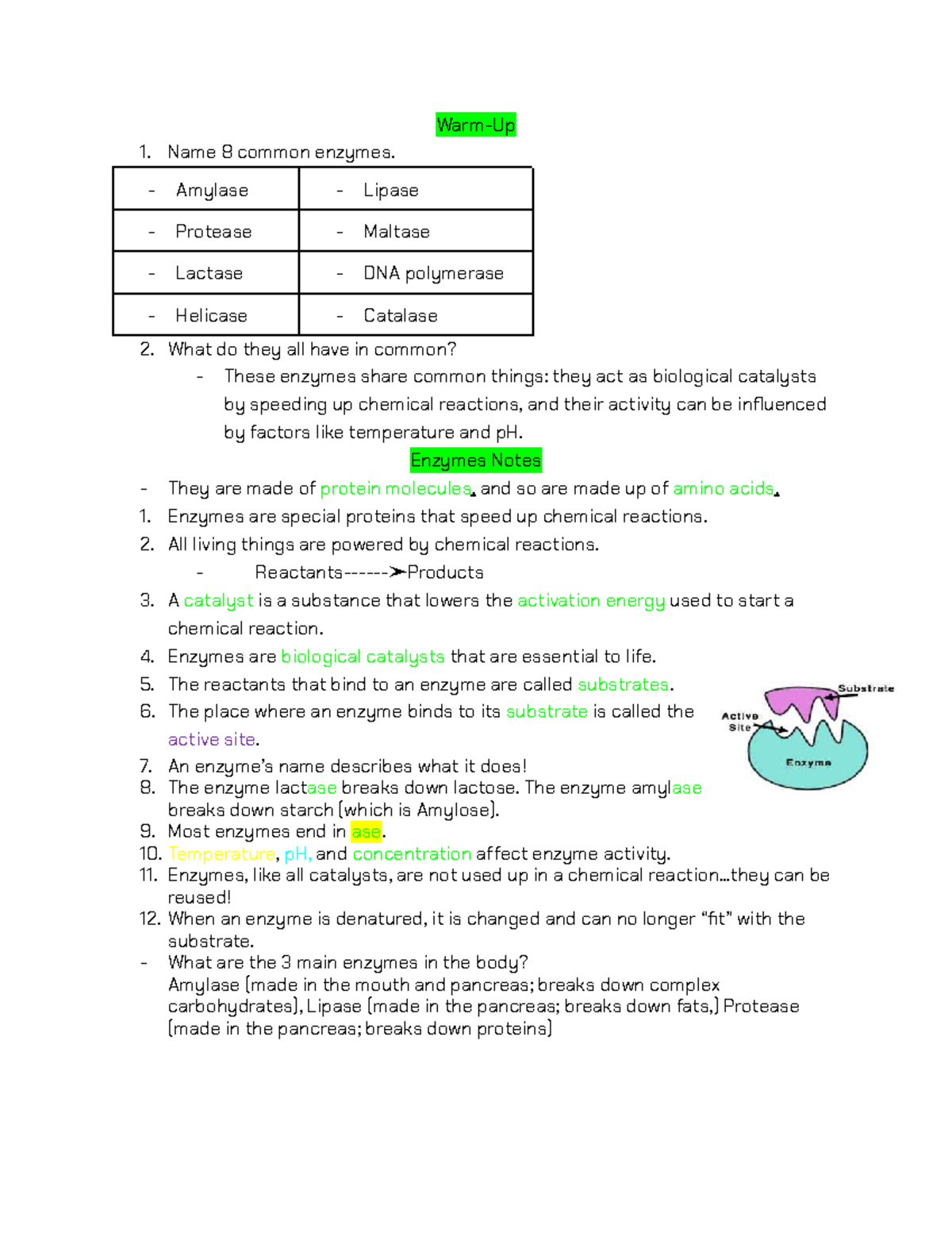 Class Notes: Enzymes as Biological Catalysts (Bio 101) - Studocu