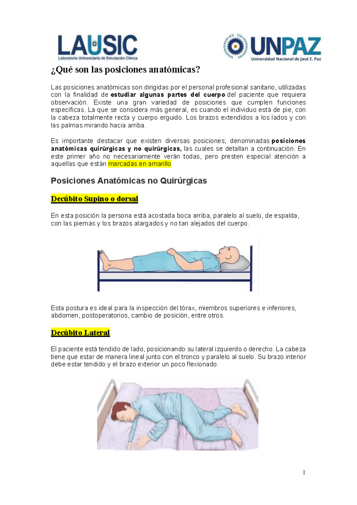 Posiciones Anatómicas: Guía Completa para Estudiantes de Medicina - Studocu