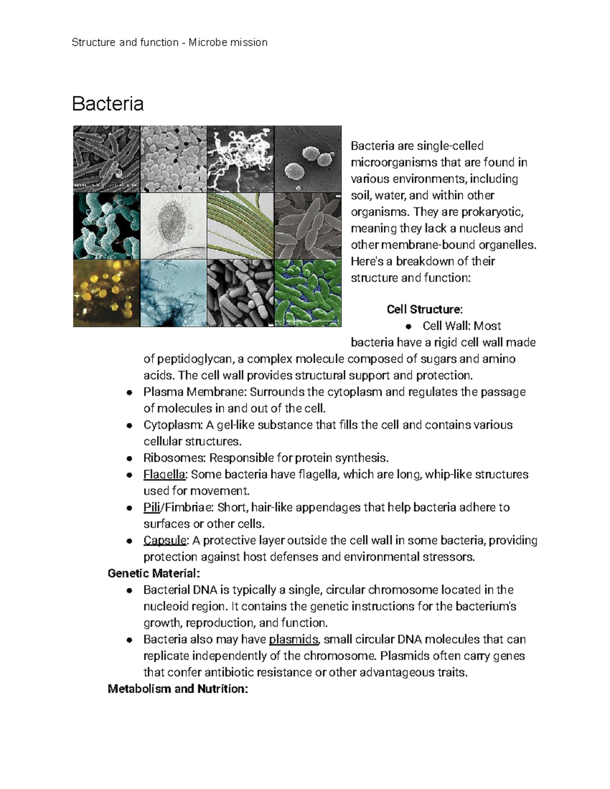 Microbe Mission: Structure and Function of Bacteria, Algae, Fungi, and ...
