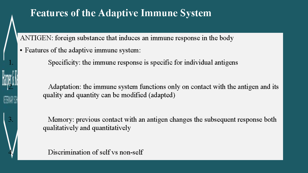 Lecture Notes on Adaptive Immune System Features - Studocu