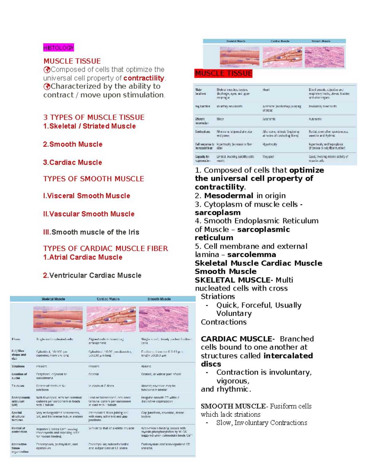 HISTOLOGY MUSCLE TISSUE: Midterm Study Notes on Muscle Types and ...