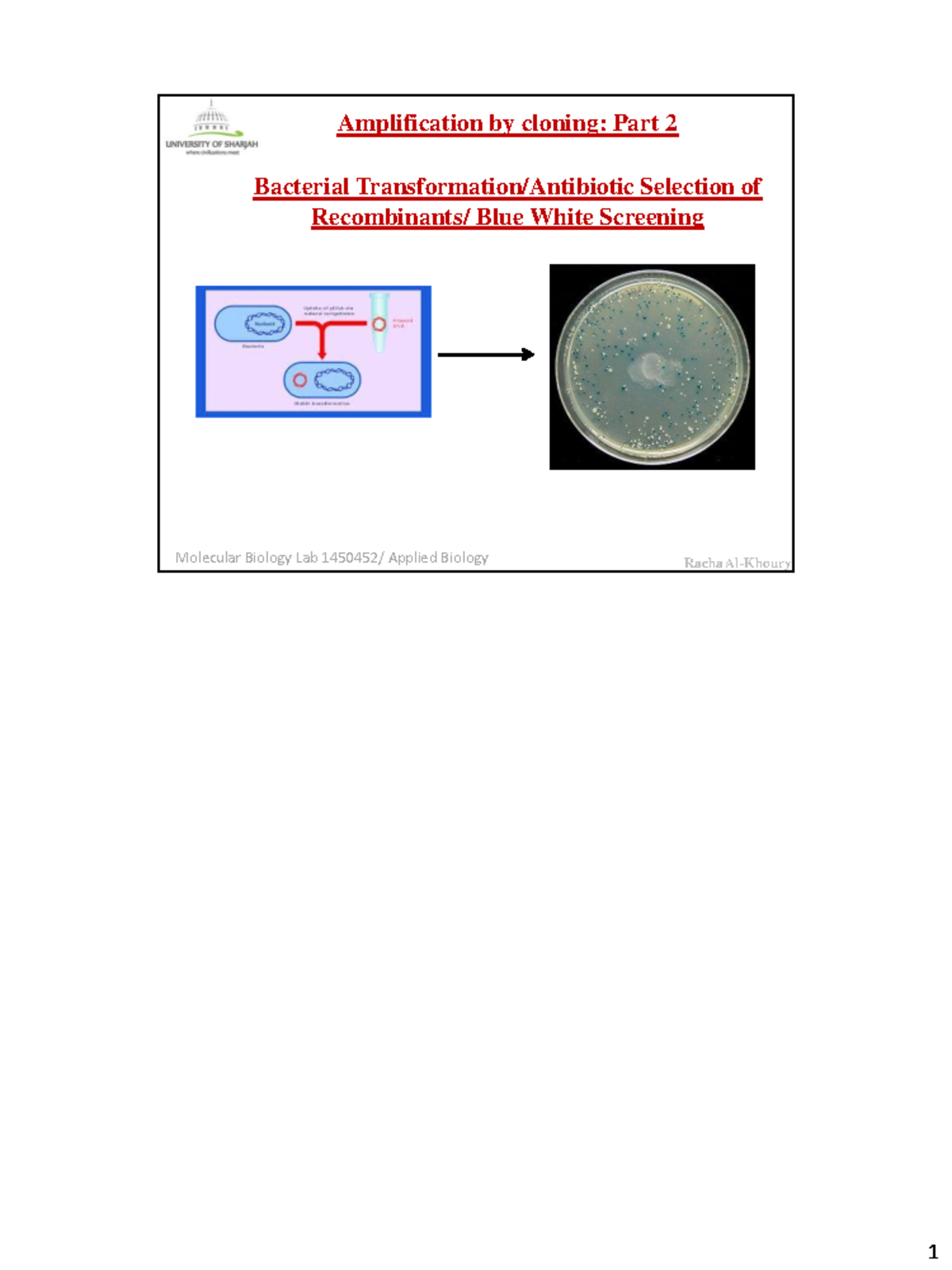 Bacterial Transformation & Blue/White Screening Protocol (Lab 1450452 ...