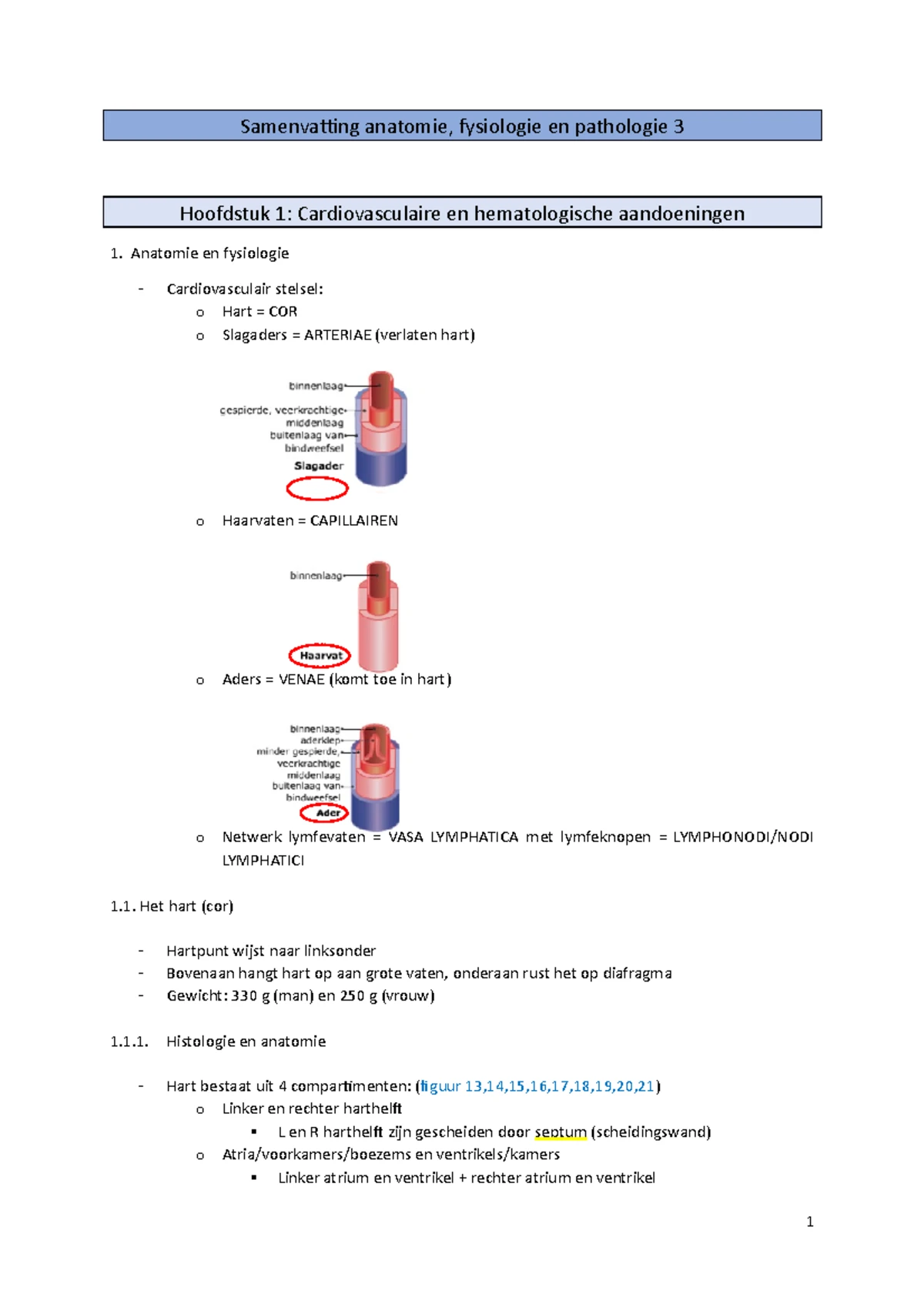 Normaal ECG - ECG uitleg , samenvattend met voorbeelden. ECG ...