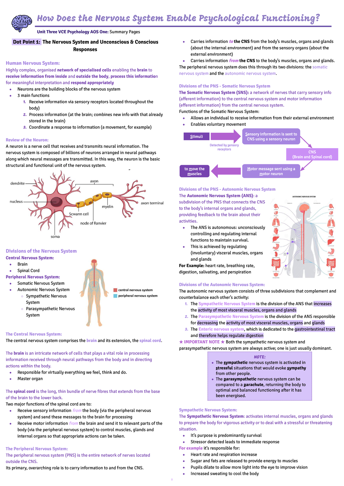 Psychology VCE 3 AOS 1: Nervous System & Psychological Functioning ...