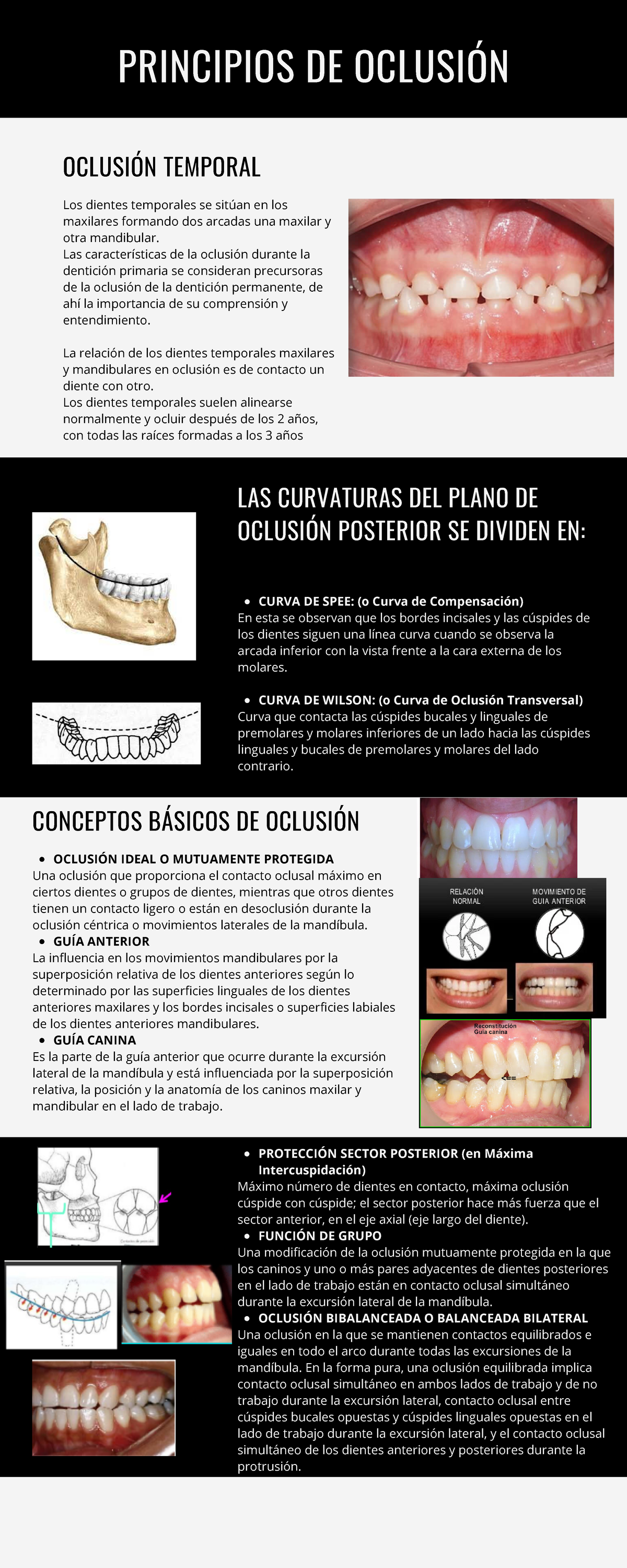 Infografía Principios de Oclusión primer semestre - PRINCIPIOS DE ...