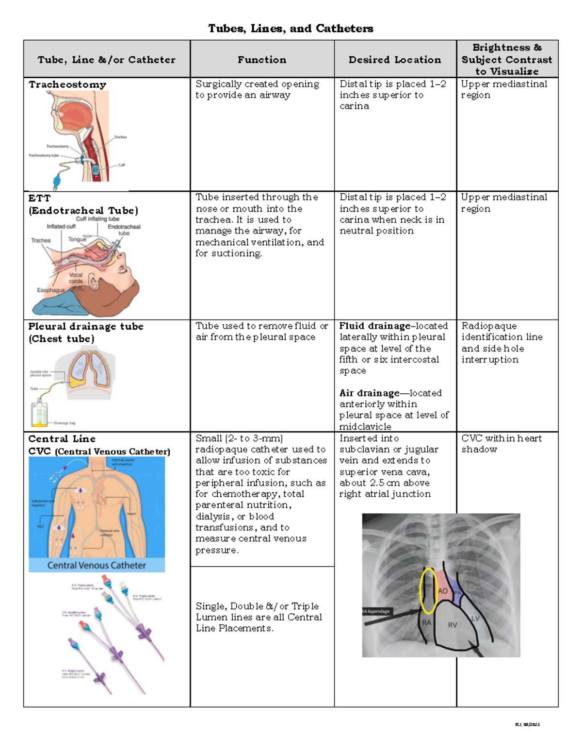 Tubes, Lines & Catheters pdf - Tubes, Lines, and Catheters BCJ, 0 8 ...