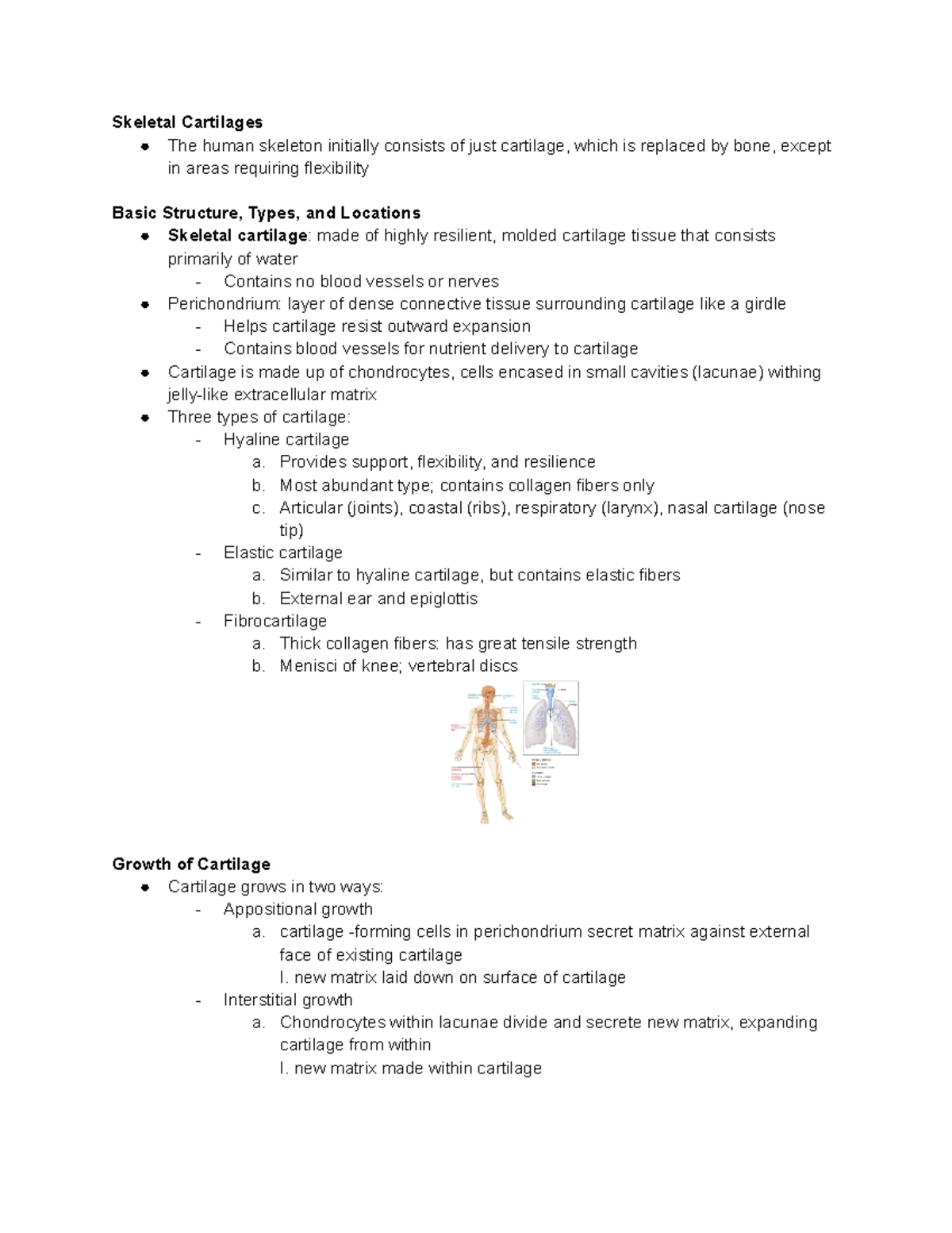 A P Cell Life Cycle - PRE-LAB EXERCISES Open the A&P app, and from the ...
