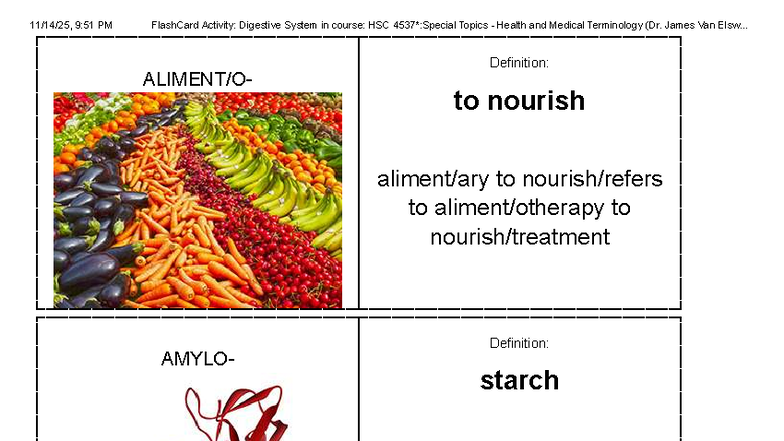 Flash Card Activity: Digestive System - HSC 4537 Health Terminology ...