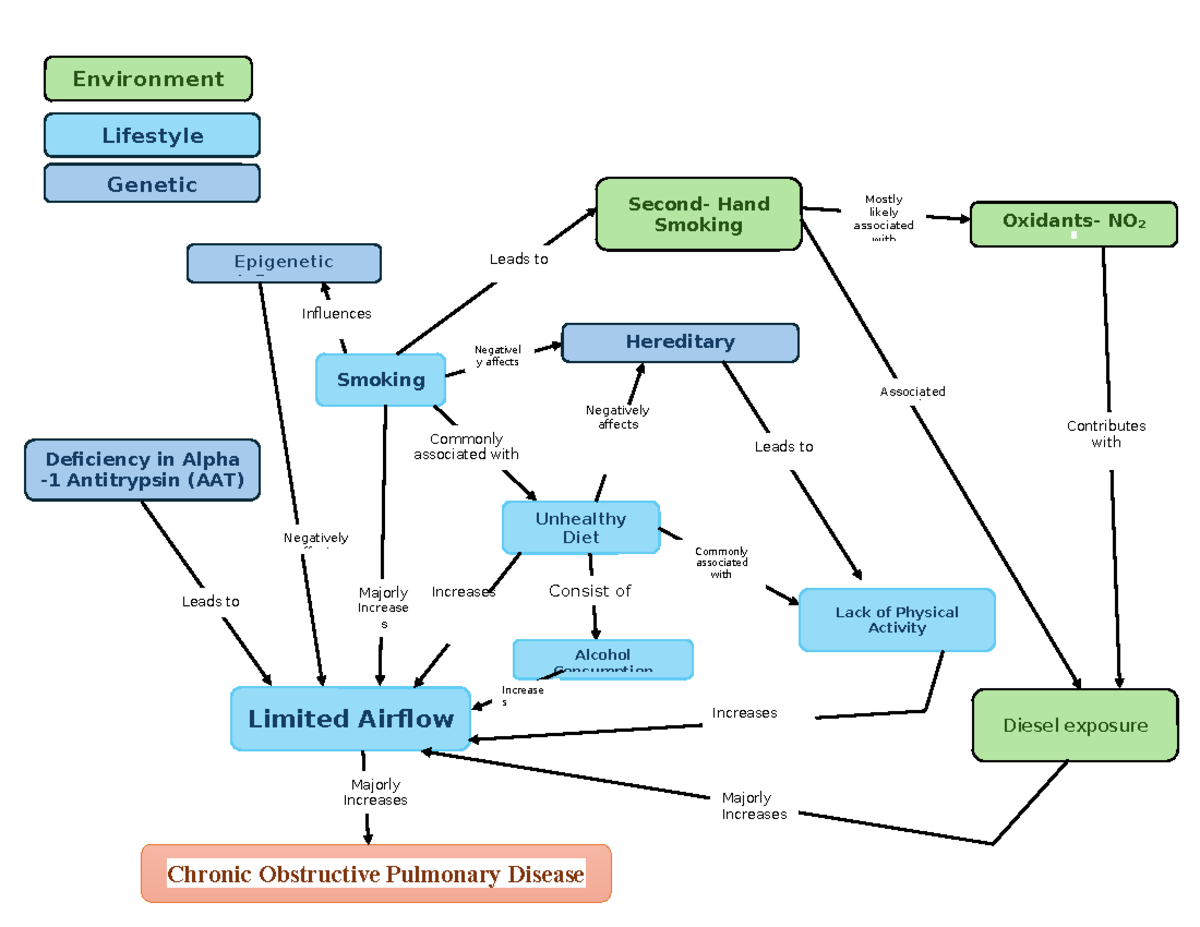 Concept Map - Environment Lifestyle Genetic Chronic Obstructive ...