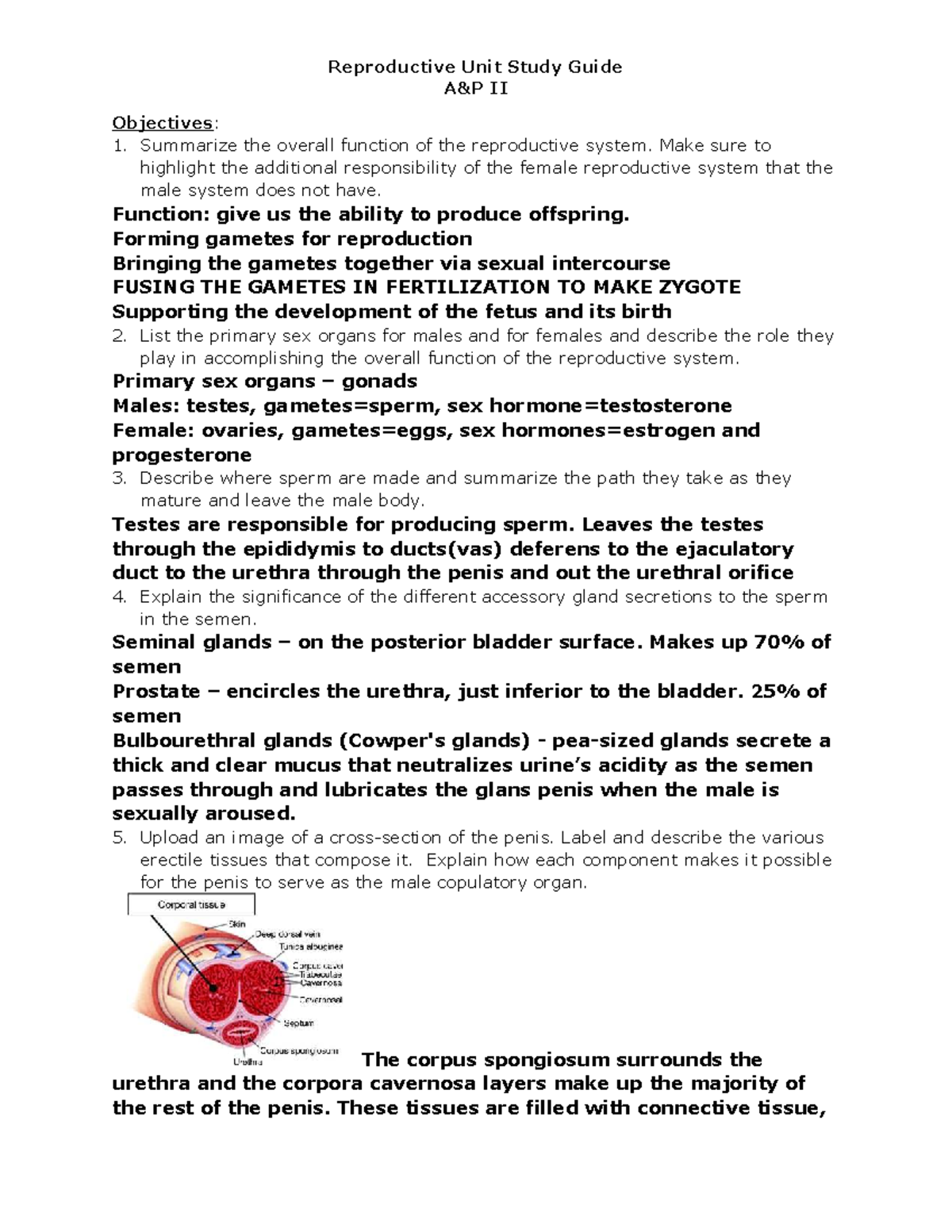 Reproductive System and Pregnancy: A&P II Study Guide - A&P II ...