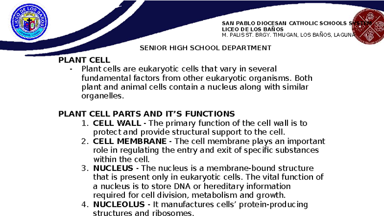 Plant Cell and Human Anatomy Overview - SHS 101 - Studocu