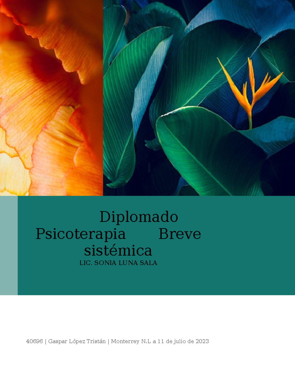 Diplomado en Psicoterapia Breve Sistémica - Observaciones y Ejercicios ...