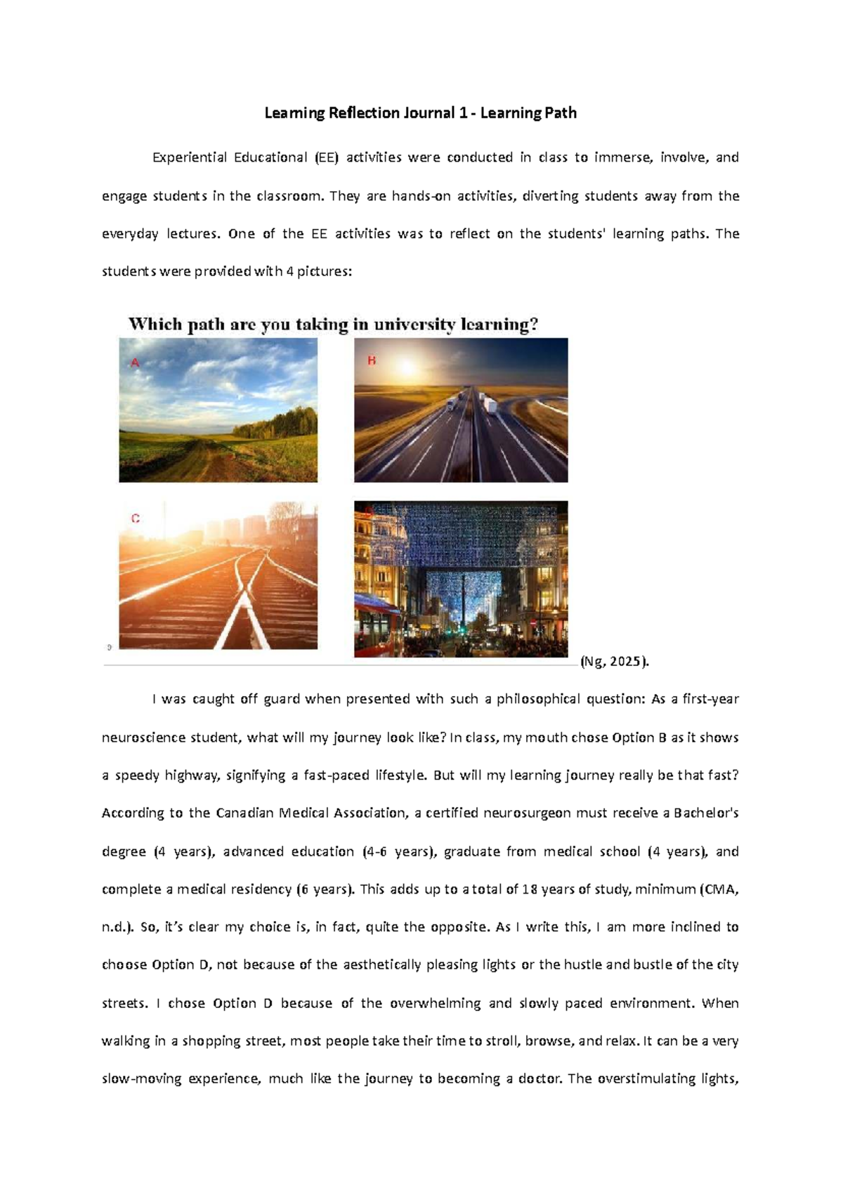 DLLL 1001 - Reflection on My Learning Journey and Experiences - Studocu