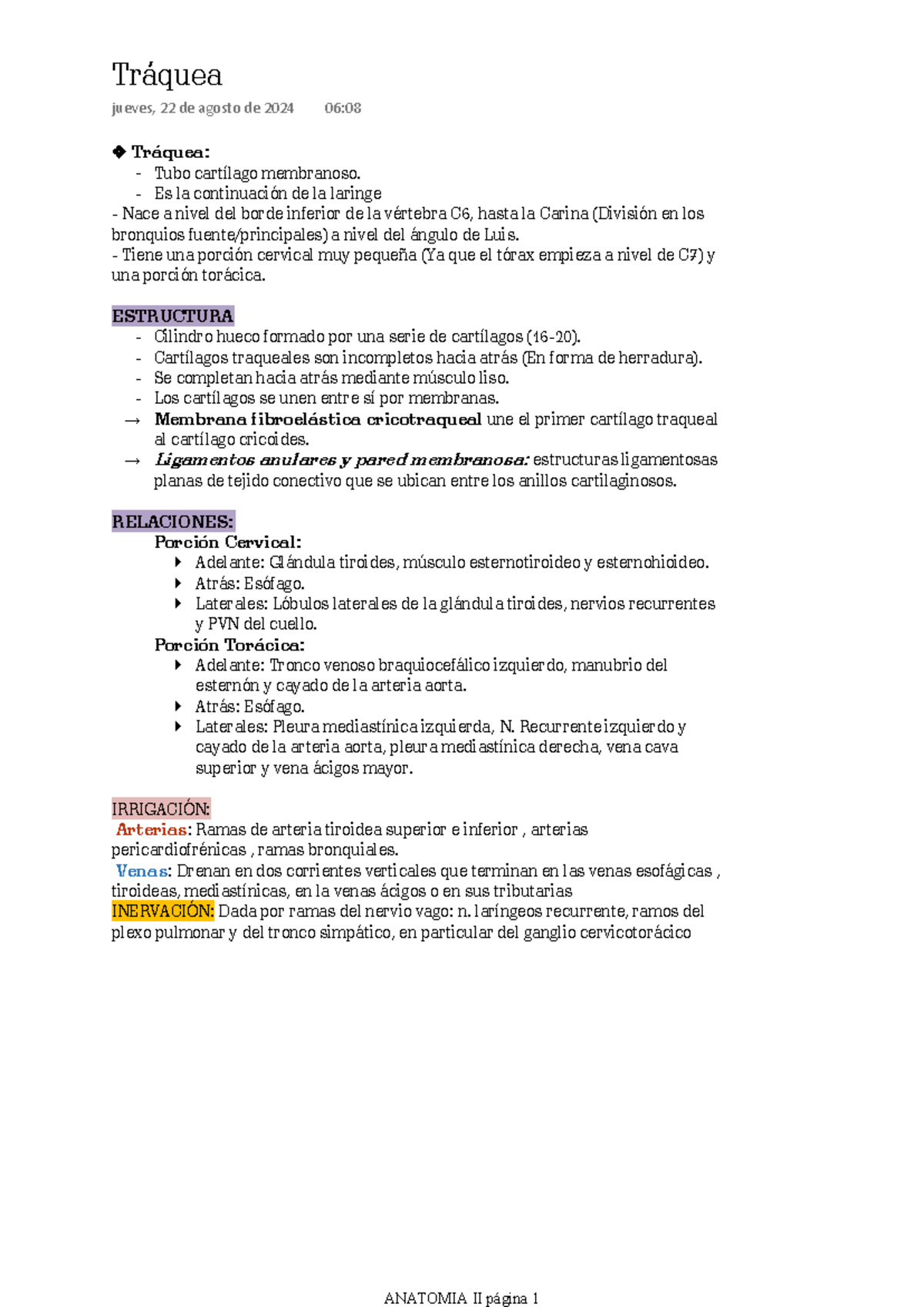 Anatomía II: Estructura y Relaciones de la Tráquea - Studocu