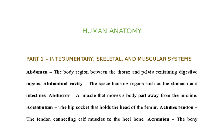 HUMAN ANATOMY PART 1: INTEGUMENTARY, SKELETAL & MUSCULAR SYSTEMS - Studocu