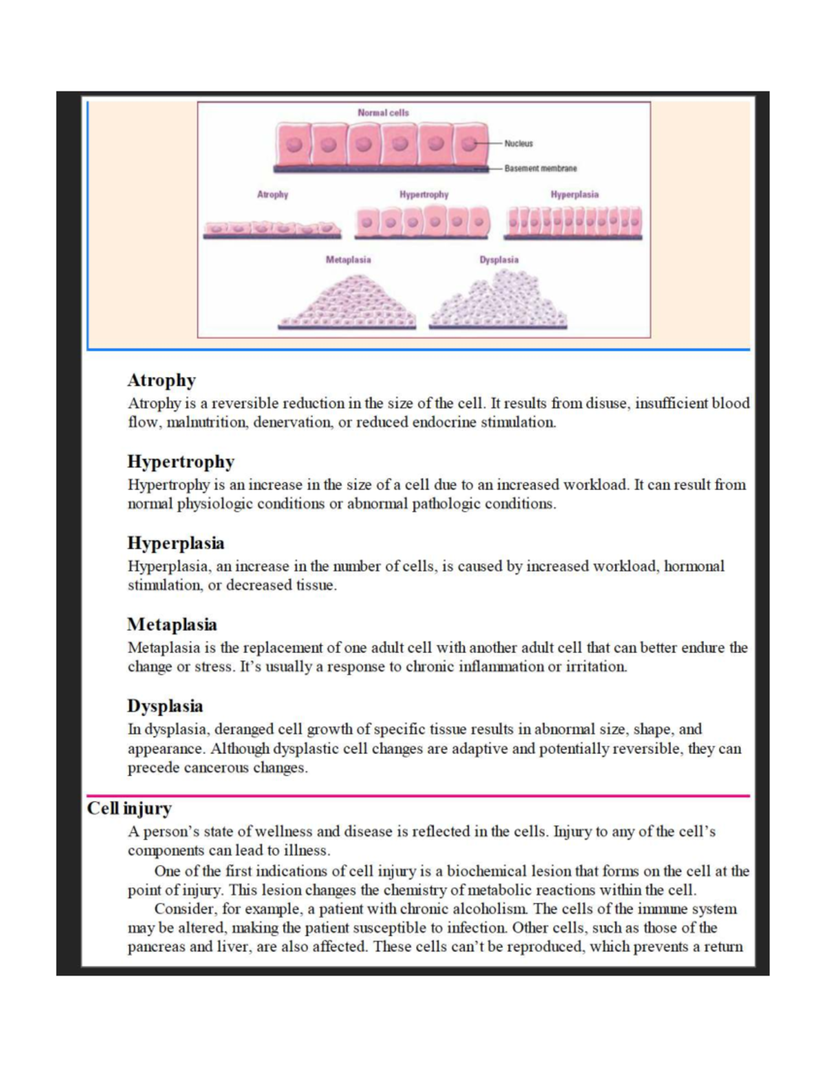 Pathophysiology of Cell Changes: Atrophy, Hypertrophy, and More - Studocu