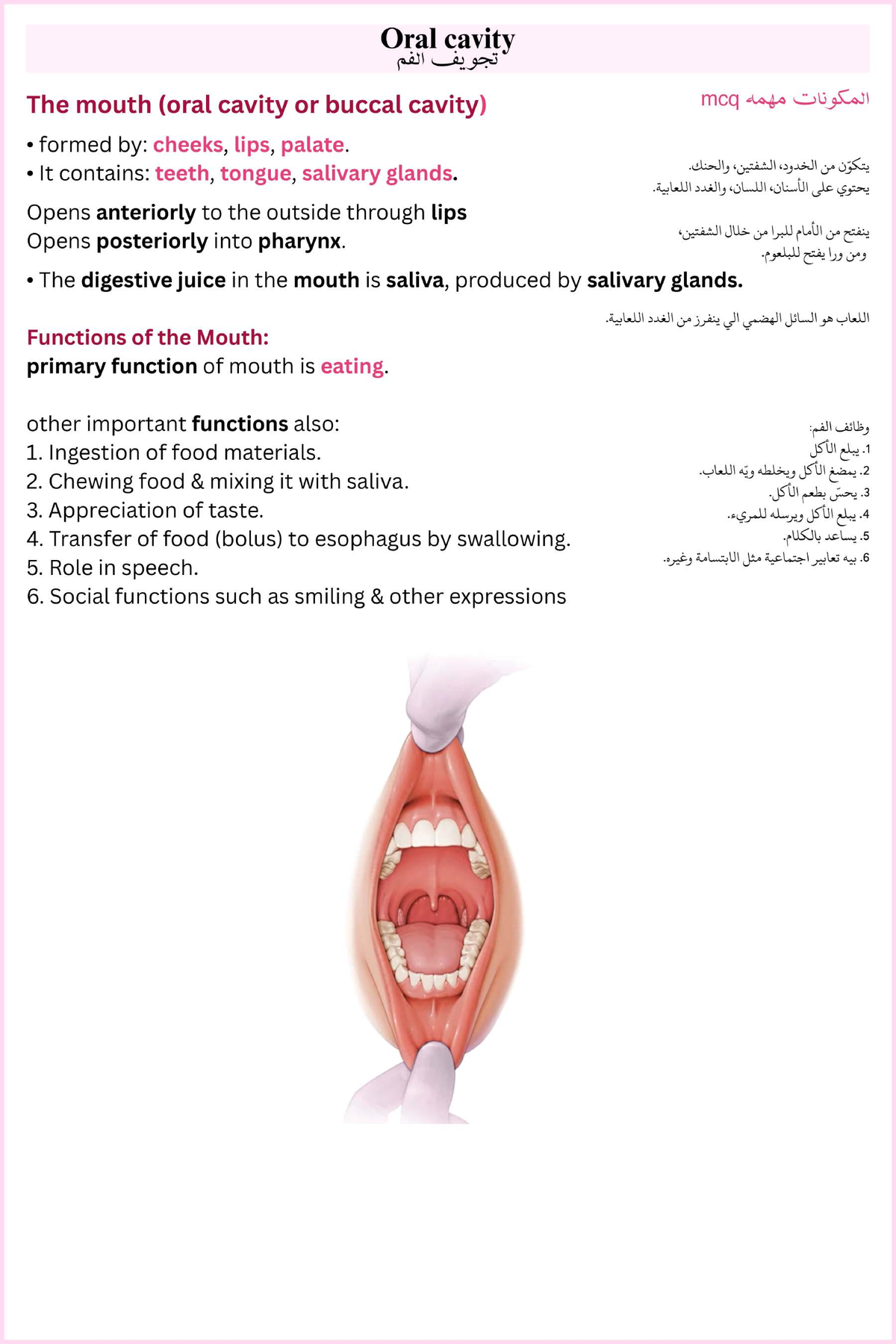 Physiology of the Oral Cavity: Functions and Salivary Glands (BIO 101 ...