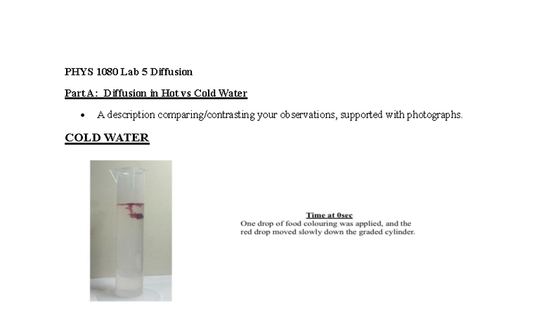 PHYS 1080 Lab 5: Observations & Calculations on Diffusion - Studocu