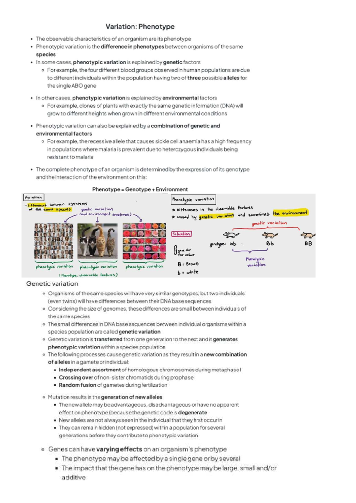 S&E Bio Notes: Phenotypic Variation and Evolution Concepts - Studeersnel