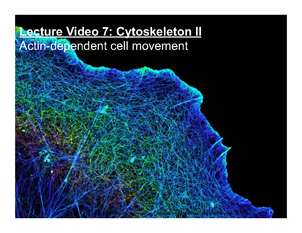 D103 Cell Biology Lecture Video 7: Actin Dynamics in Cell Migration ...
