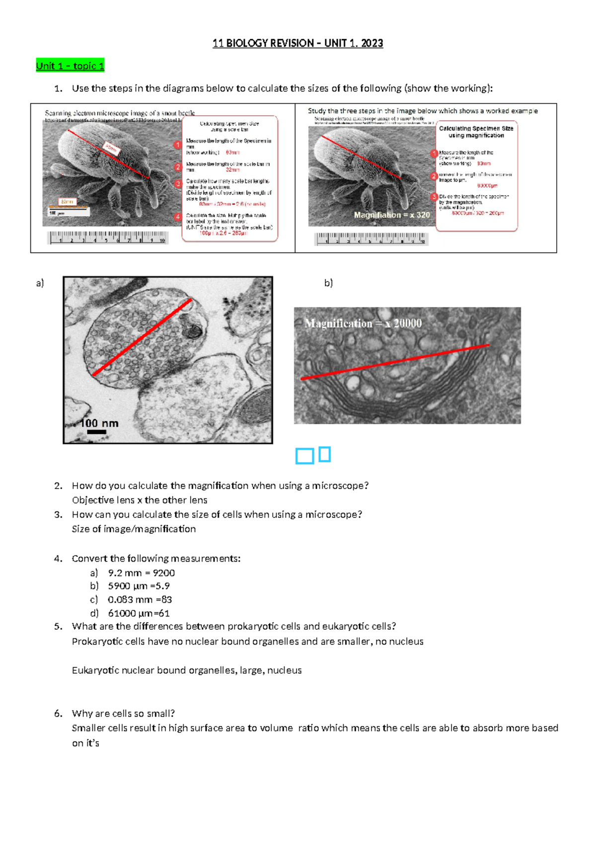 11 Biology Revision- unit 1 2023 - 11 BIOLOGY REVISION – UNIT 1. 2023 ...