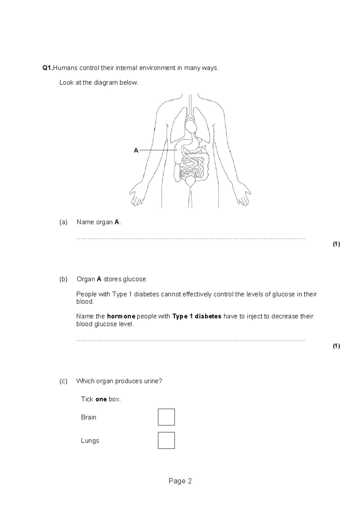 Homeostasis 1 QP - Human Body Regulation and Diabetes Management - Studocu