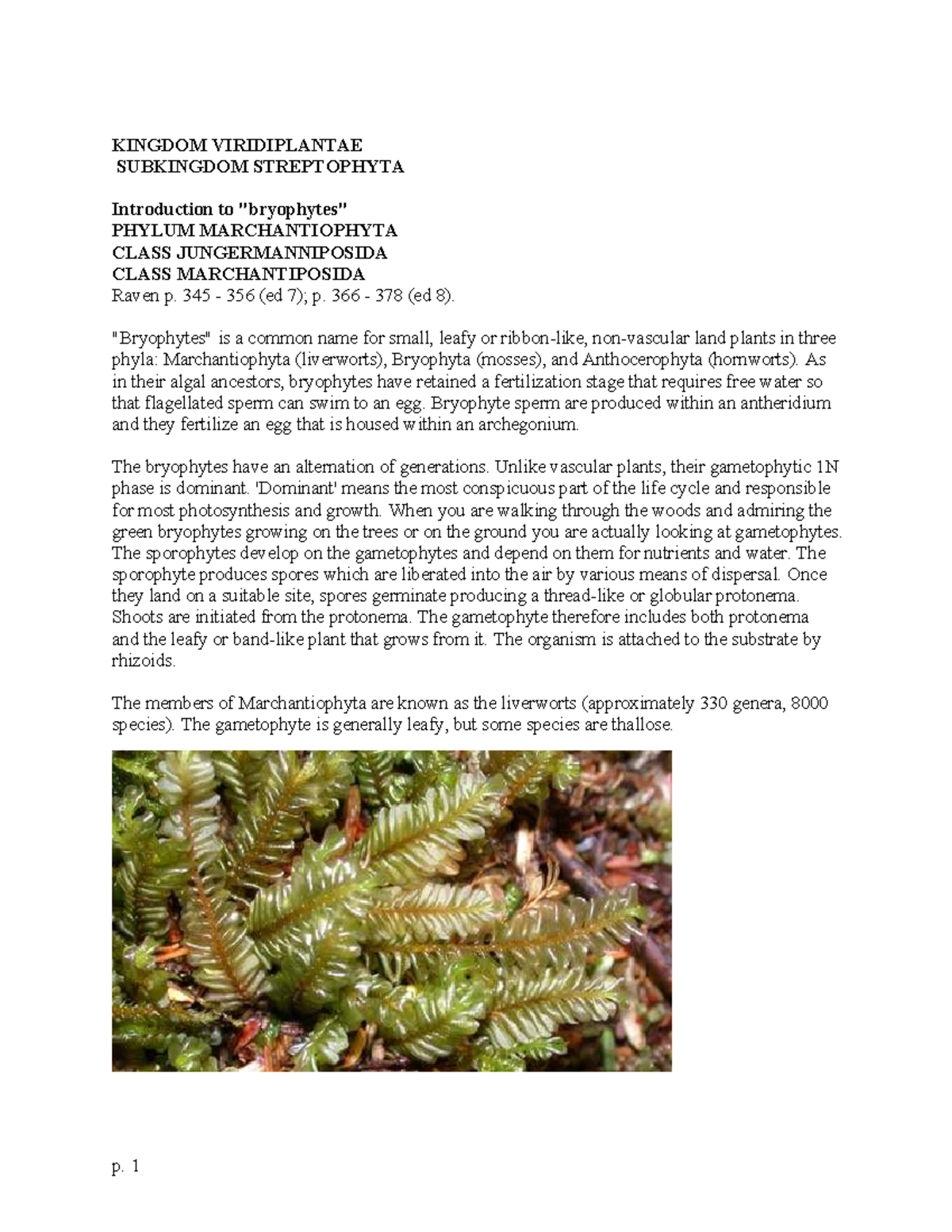 Marchantiophyta Lab Notes: Exploring Liverworts (BIO 101) - Studocu