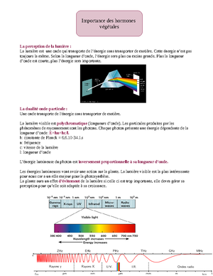 Paroi L1 - spe vegetale - La paroi des cellules végétales I ...