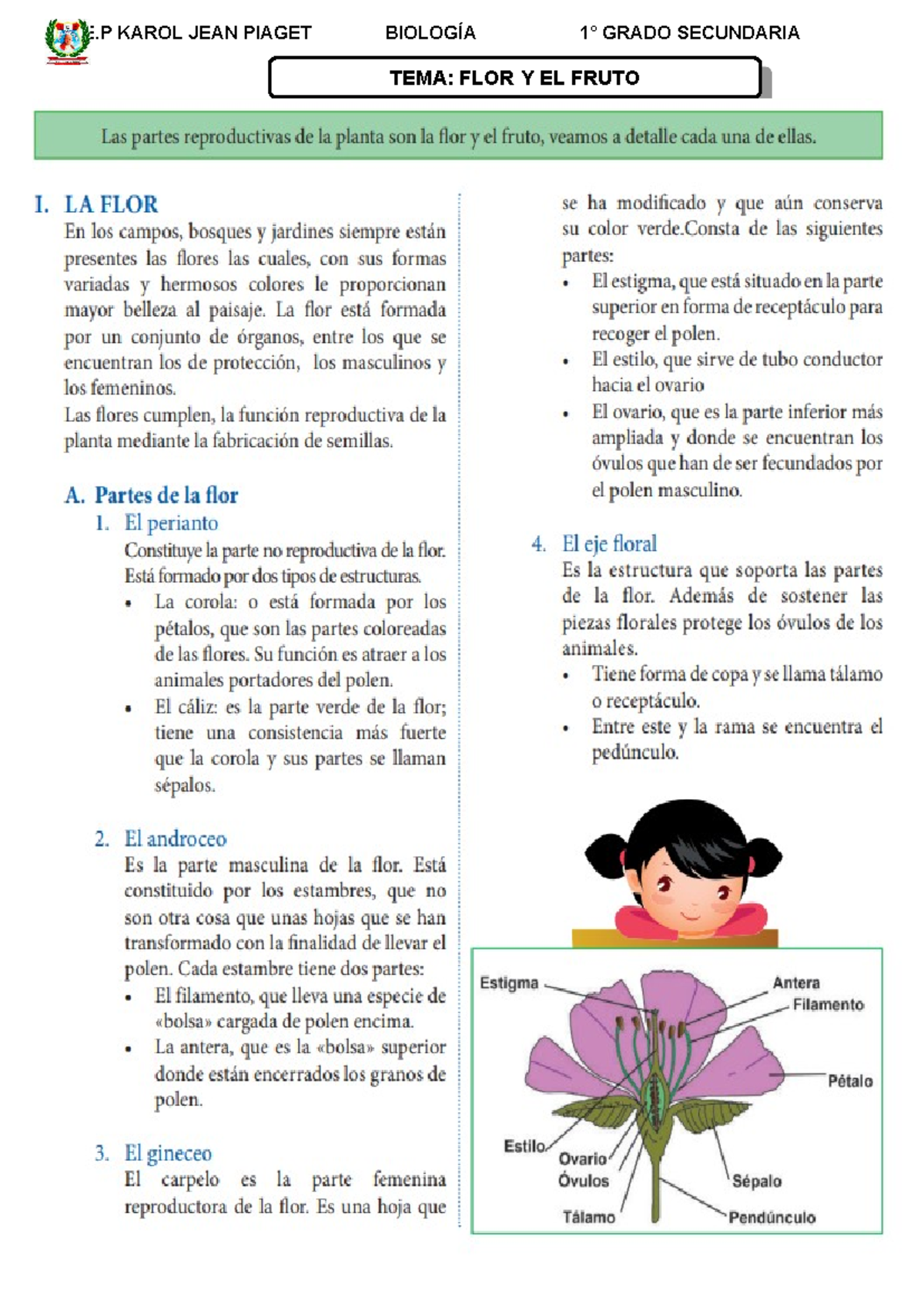 FLOR Y Fruto 25-08-2025 - ciencia social - TEMA: FLOR Y EL FRUTO 2DA ...